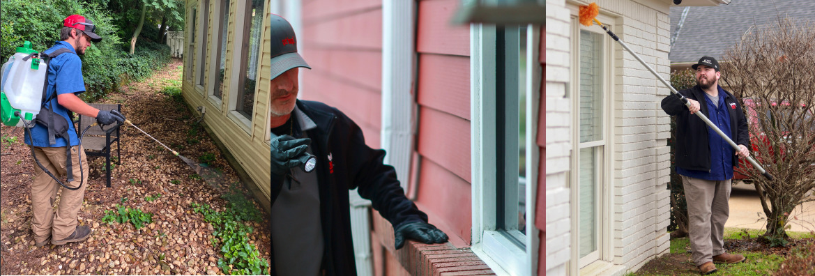 Residential Pest Control